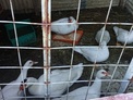 IMG_20260523_082318